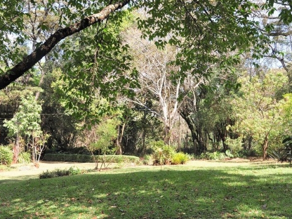 Langata Link Real Estate - Kenya's Leading Boutique Estate Agents