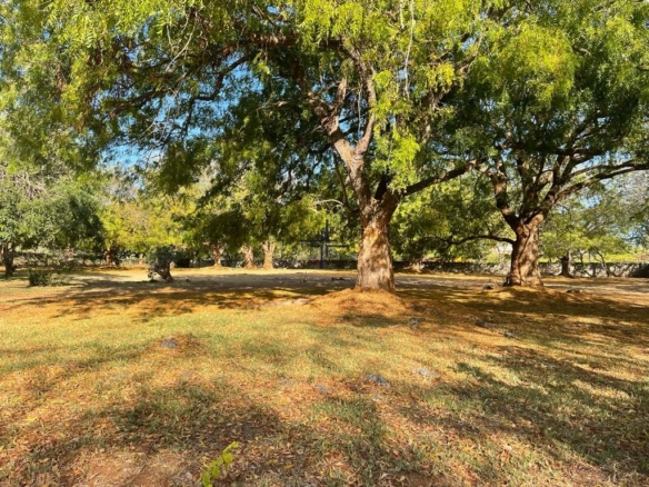 Properties for Sale in Kilifi, Kenya Coast - Langata Link Real Estate